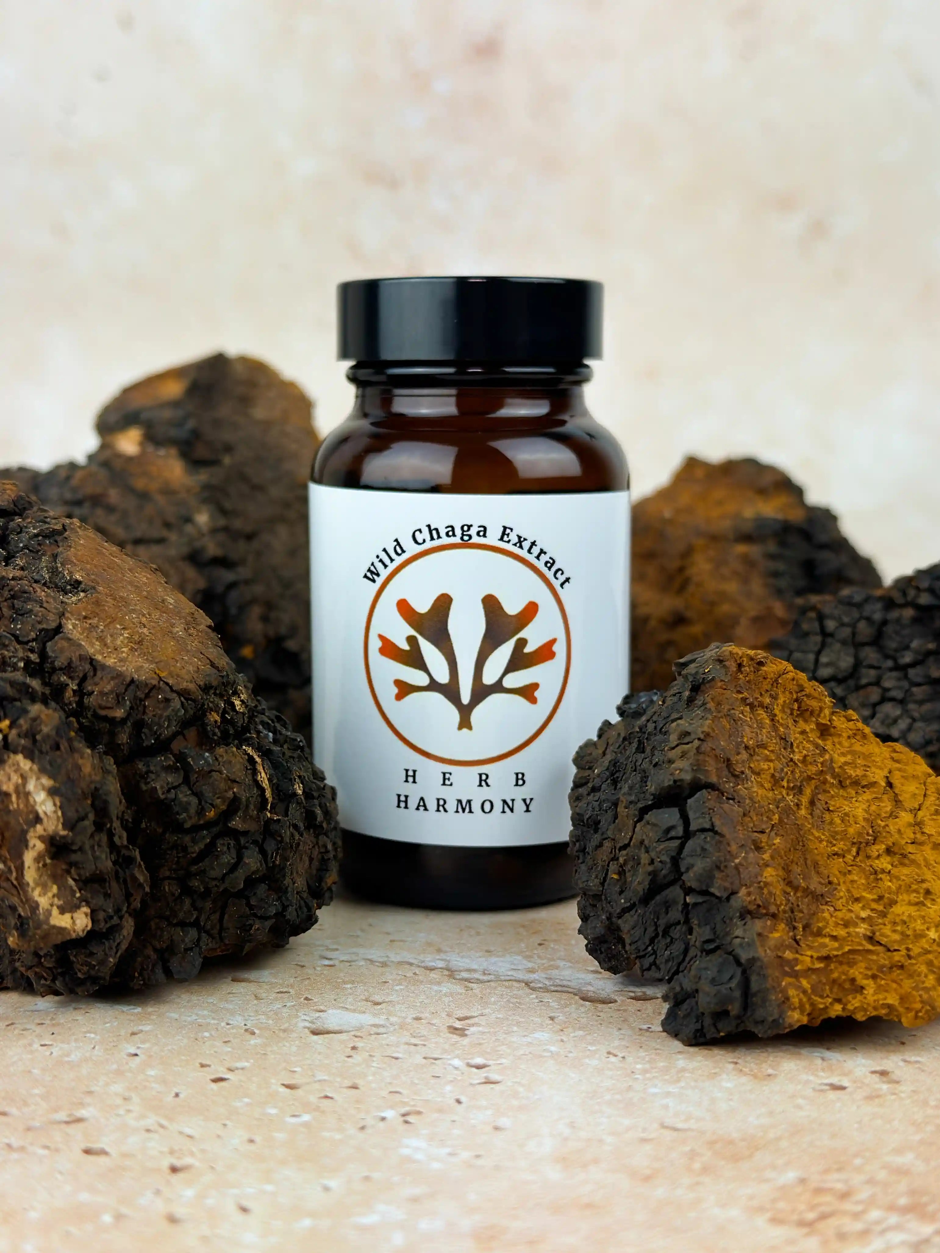 Wild Chaga Mushroom Extract – Herb Harmony